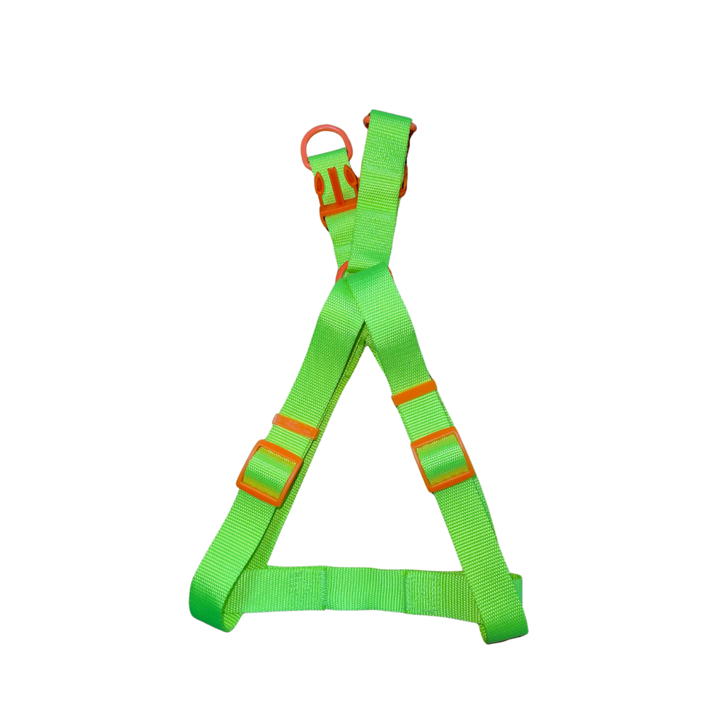 ARNES PARA PERRO VARIOS COLORES "BONITA PET" | El Rejo Web